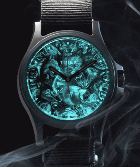 Timex x Co_Labs Collection - Collaboration Watches | Timex US