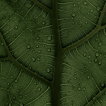 TIMEX TIME MACHINES® 29mm Rainbow Unicorn Pink Elastic Fabric Kids Wat ...